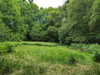 7.86 acres, Lot 3, Southroad Wood Warehorne Road, Ashford, Kent, TN26 3RJ